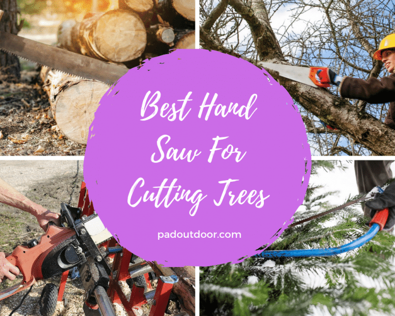 Best Hand Saw For Cutting Trees: Reviews & Guides | Pad Outdoor