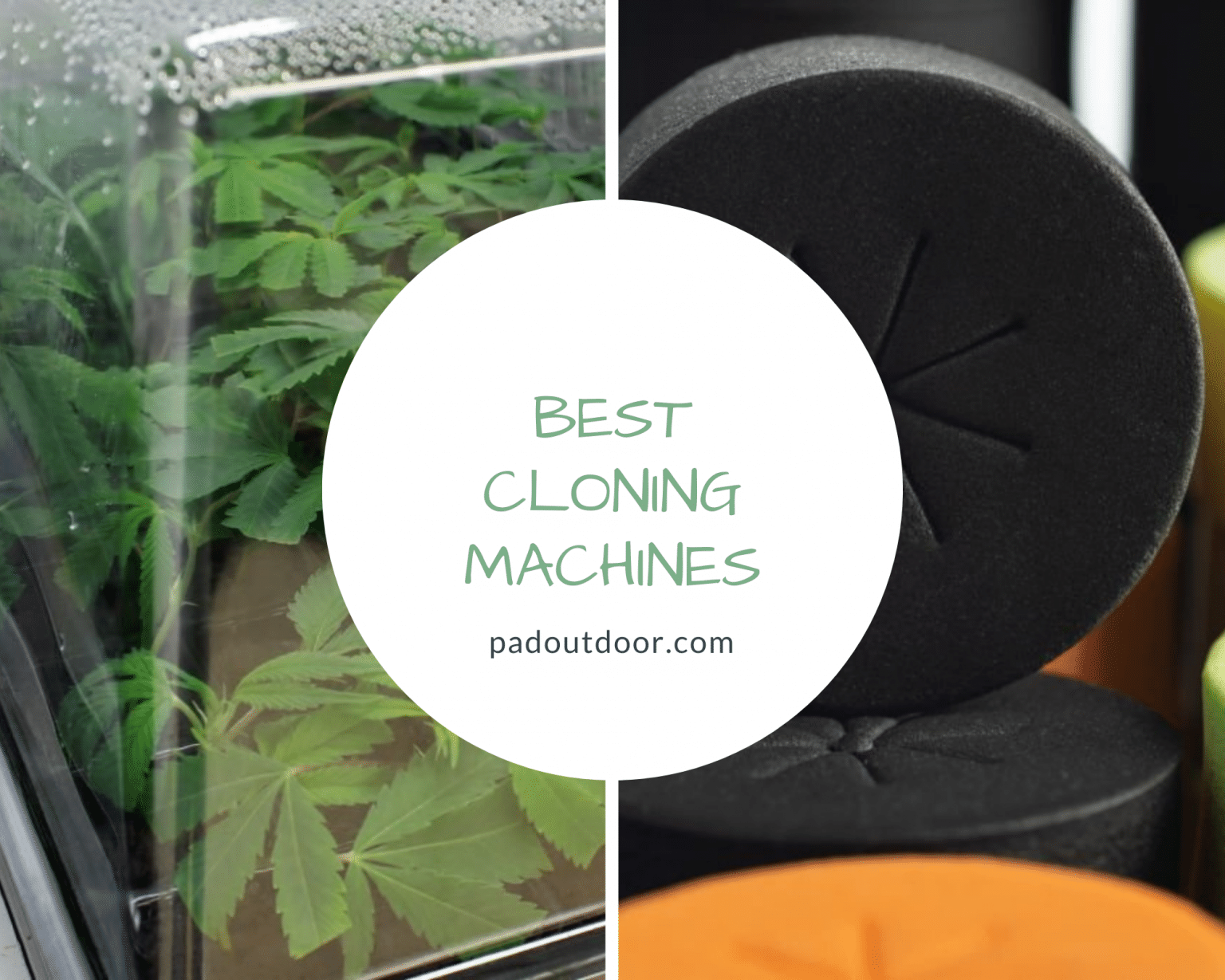 The Best Cloning Machines To Invest (Reviews & Guide) | Pad Outdoor